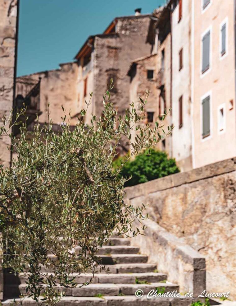 Que voir à Entrevaux, un village médiéval connu pour sa Citadelle perchée