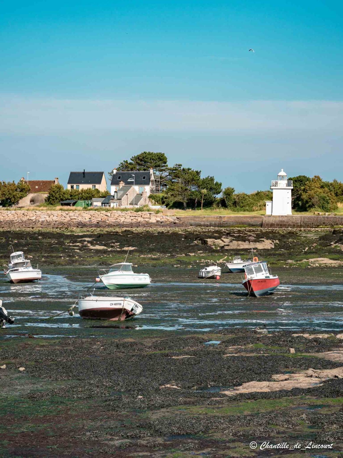 Visiter Barfleur : que faire dans l’un des plus beaux villages de ...